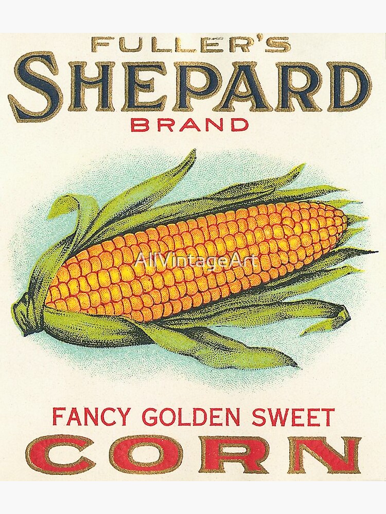 "Vintage Fruit Crate Label - Sweet Corn" Sticker for Sale by ...