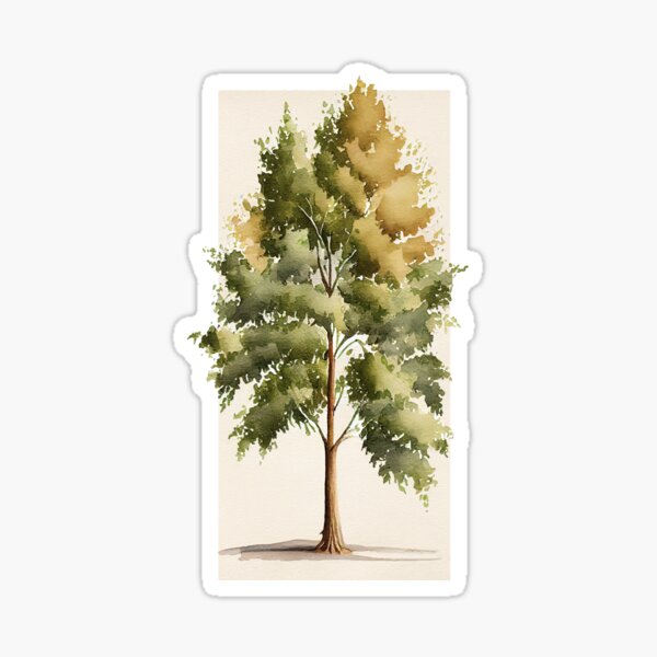 "Stylish Poplar Tree Watercolor Art for T-shirts and Stickers" Sticker ...