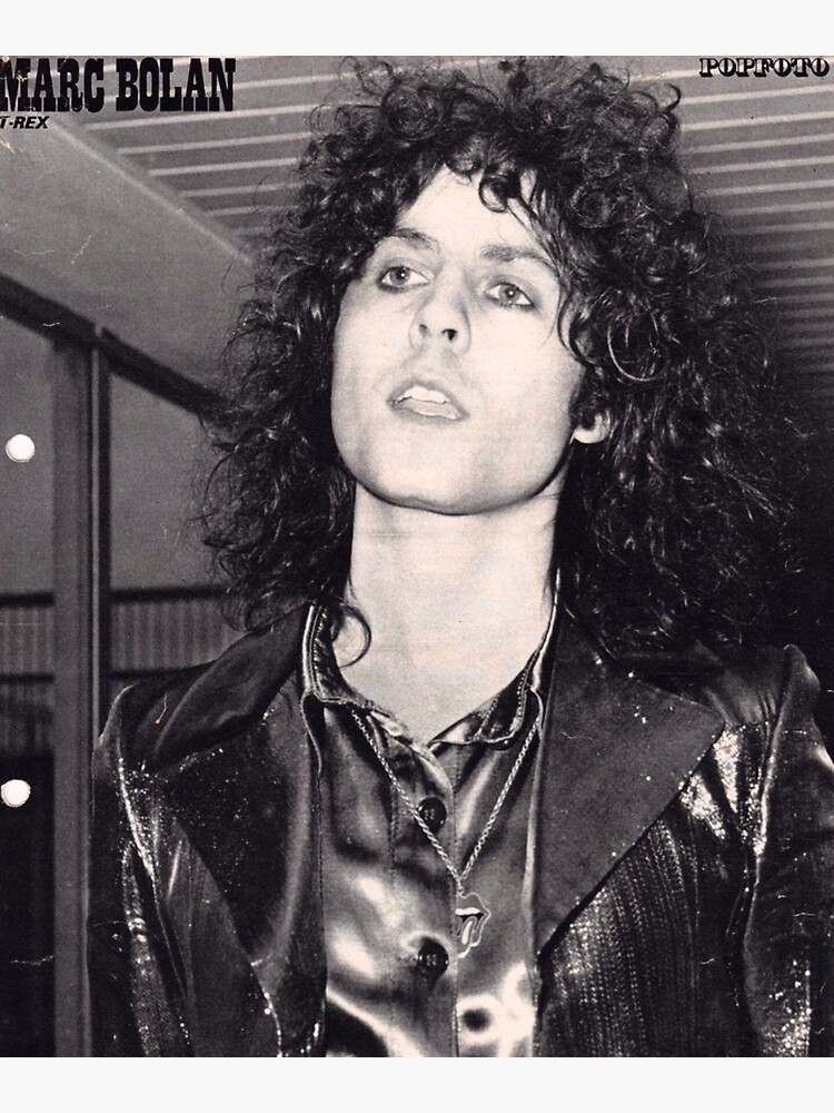 Marc bolan Fanart Premium Matte Vertical Poster sold by Cristiano ...