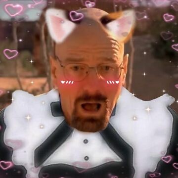 "Walter White Catboy" Sticker for Sale by ItsMichaelaa | Redbubble