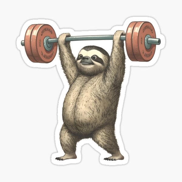"Sloth Lifting Weights" Sticker for Sale by OddityOutpost | Redbubble