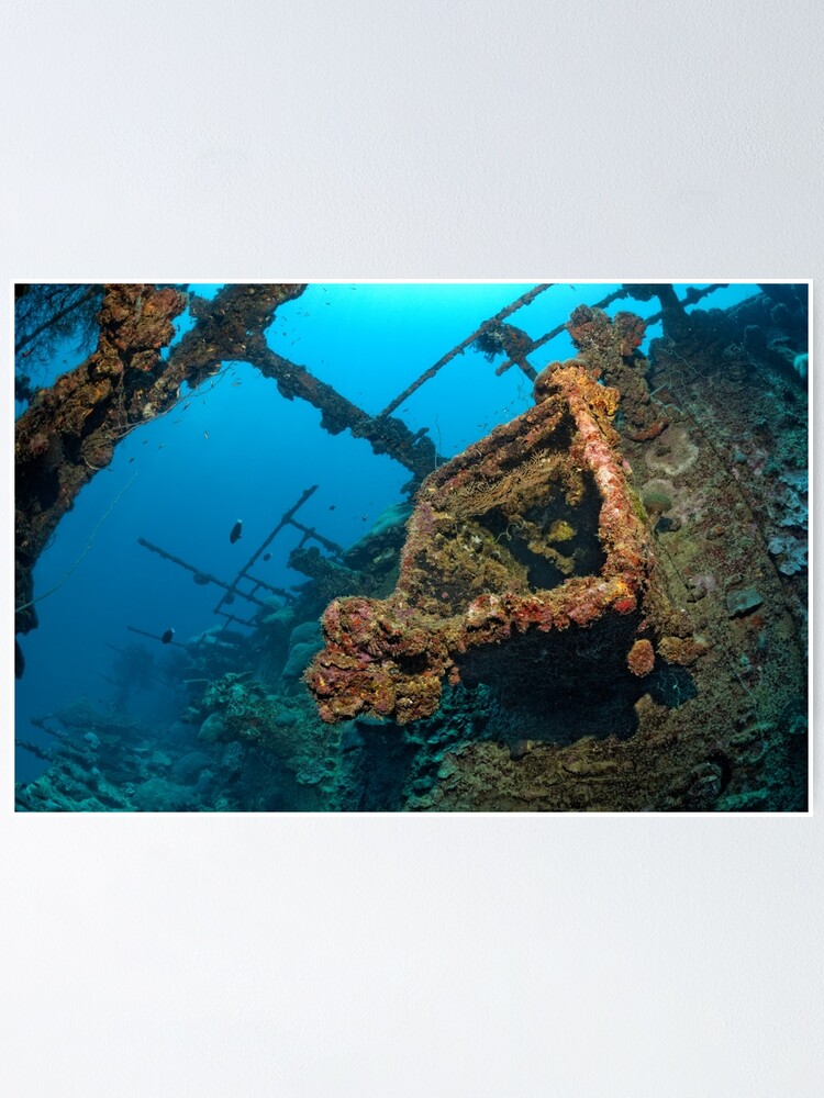 "British Loyalty- Background Story" Poster by Kameranobs | Redbubble