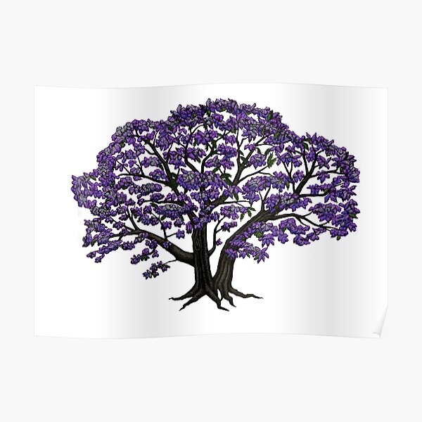"Jacaranda Color" Poster by necuseban | Redbubble