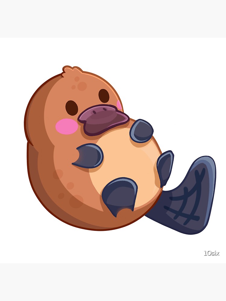 Chibi Platypus