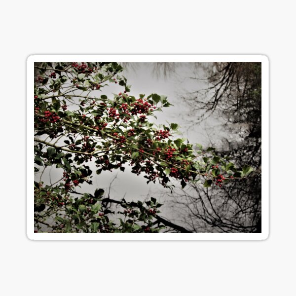 "Retro Holly" Sticker for Sale by RVogler | Redbubble