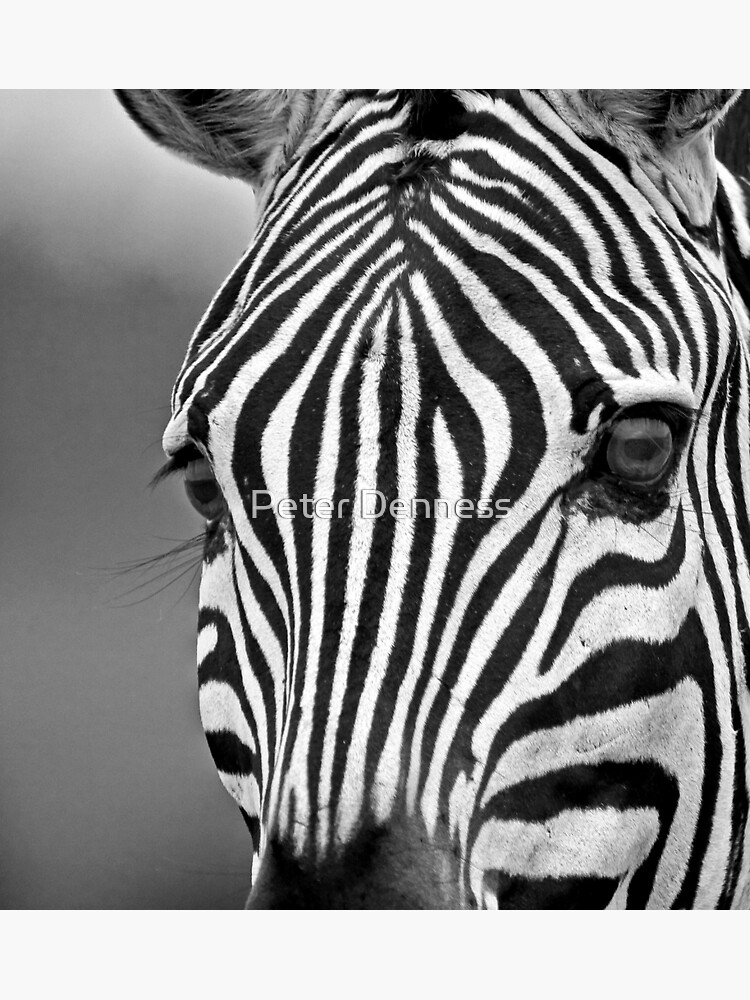 "Natural Lines" Art Print for Sale by petedenness | Redbubble