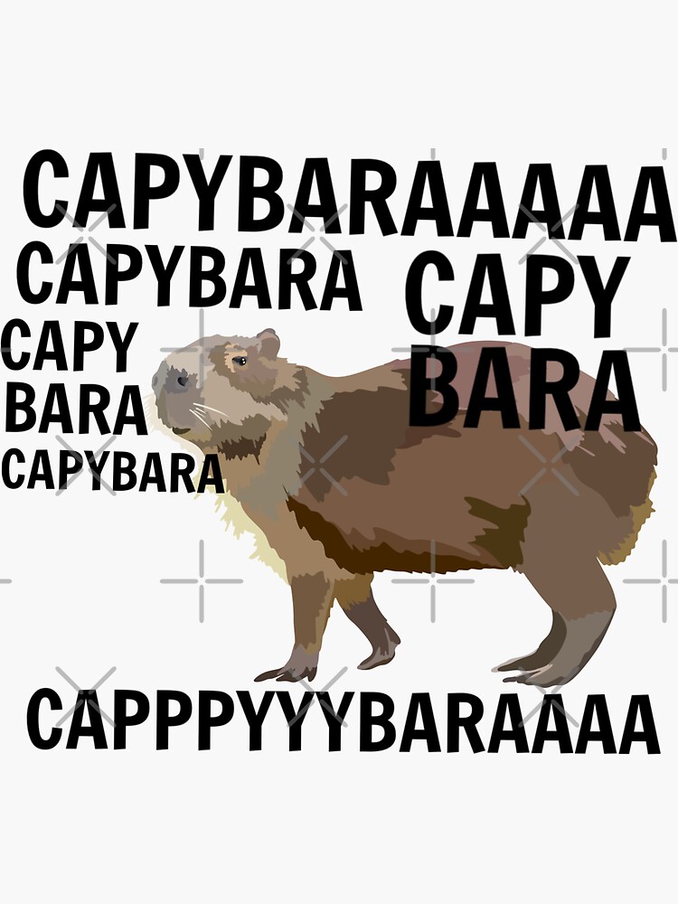 "C is for Capybara" Sticker for Sale by thezoogirl | Redbubble
