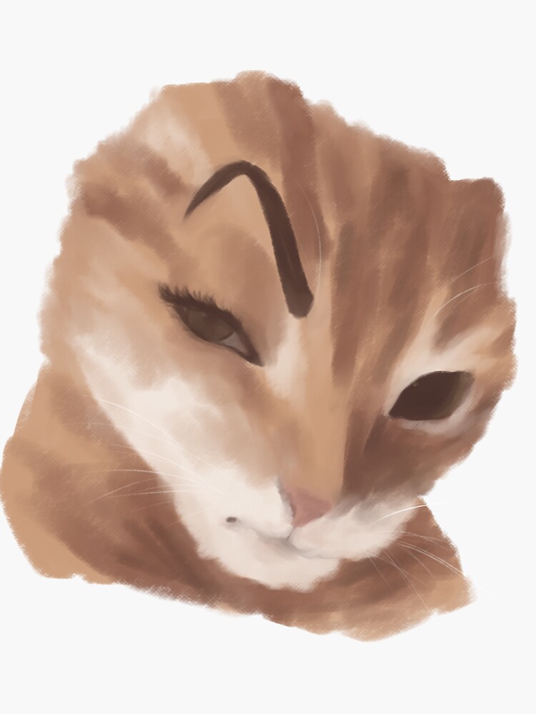"eyebrow cat" Sticker for Sale by T0yDancer | Redbubble