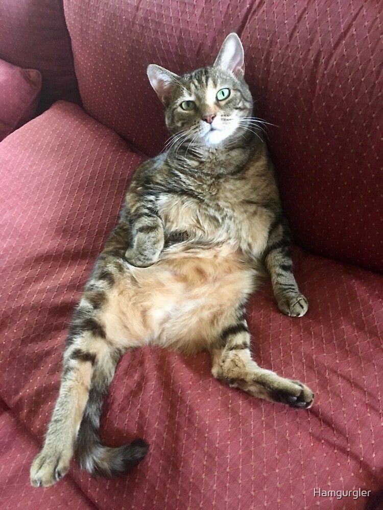 Pegatina «Gato mandón con la mano en la cadera» de Hamgurgler | Redbubble