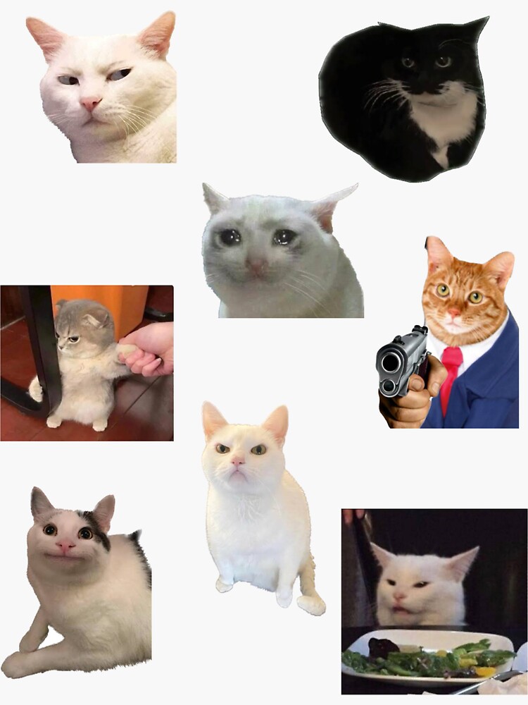 "Cat Meme Stickers Variety Pack" Sticker for Sale by mitscorner | Redbubble