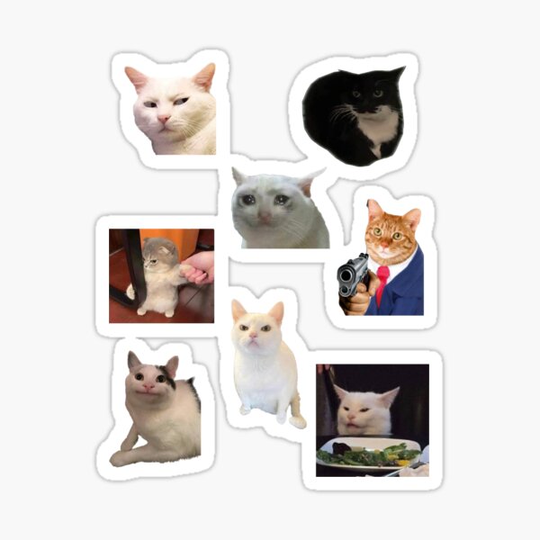 "Cat Meme Stickers Variety Pack" Sticker for Sale by mitscorner | Redbubble