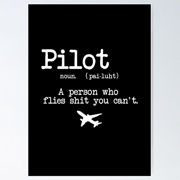 Witty Pilot Quotes