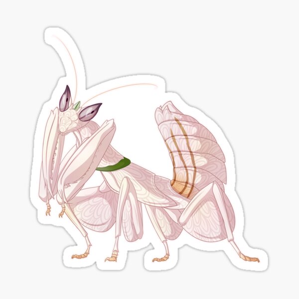 "Orchid Mantis" Sticker for Sale by Markaleb | Redbubble