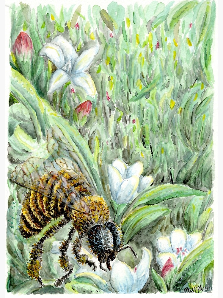 "Australian native bee" Art Print by merph | Redbubble