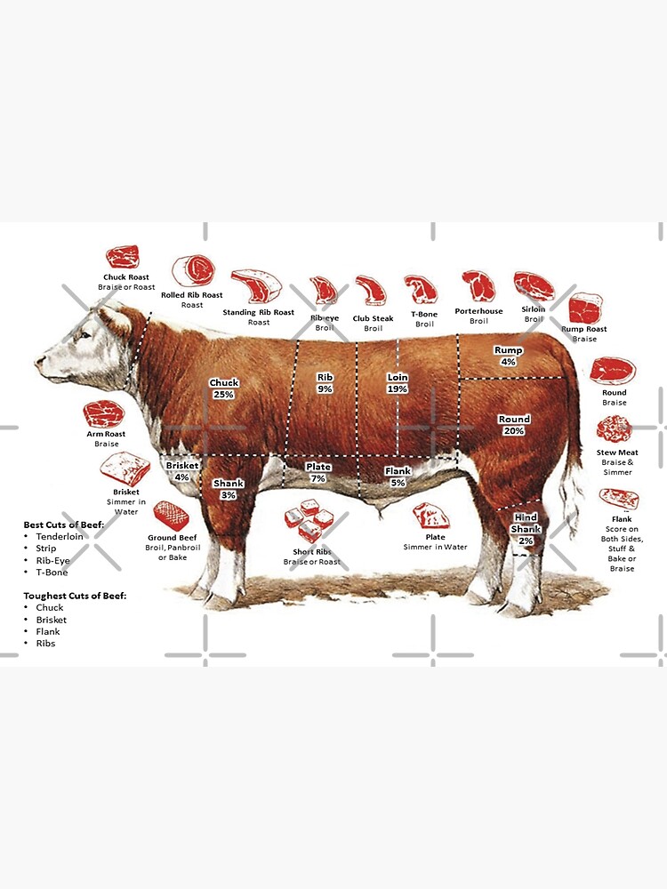 "Beef Cuts Chart Poster" Poster for Sale by Chartopian | Redbubble