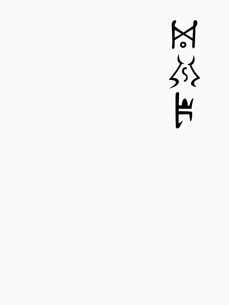 "Jah Ith Ber Enigma Rune Word Diablo Classic T-Shirt (lateral)" T-shirt ...