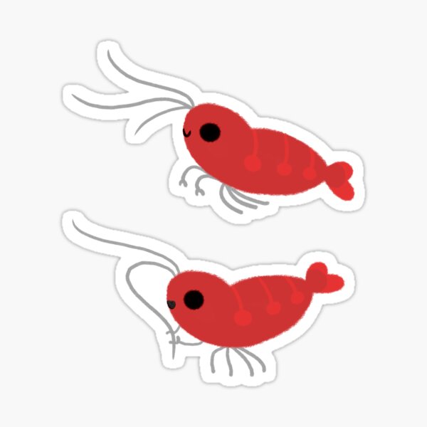 Shrimp Stickers | Redbubble