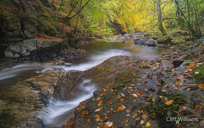 "Beauty at the Moness Burn, Aberfeldy, Scotland" by Cliff Williams ...