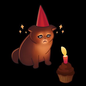 "Sad Birthday Cat Meme" Sticker for Sale by Chonkitty | Redbubble