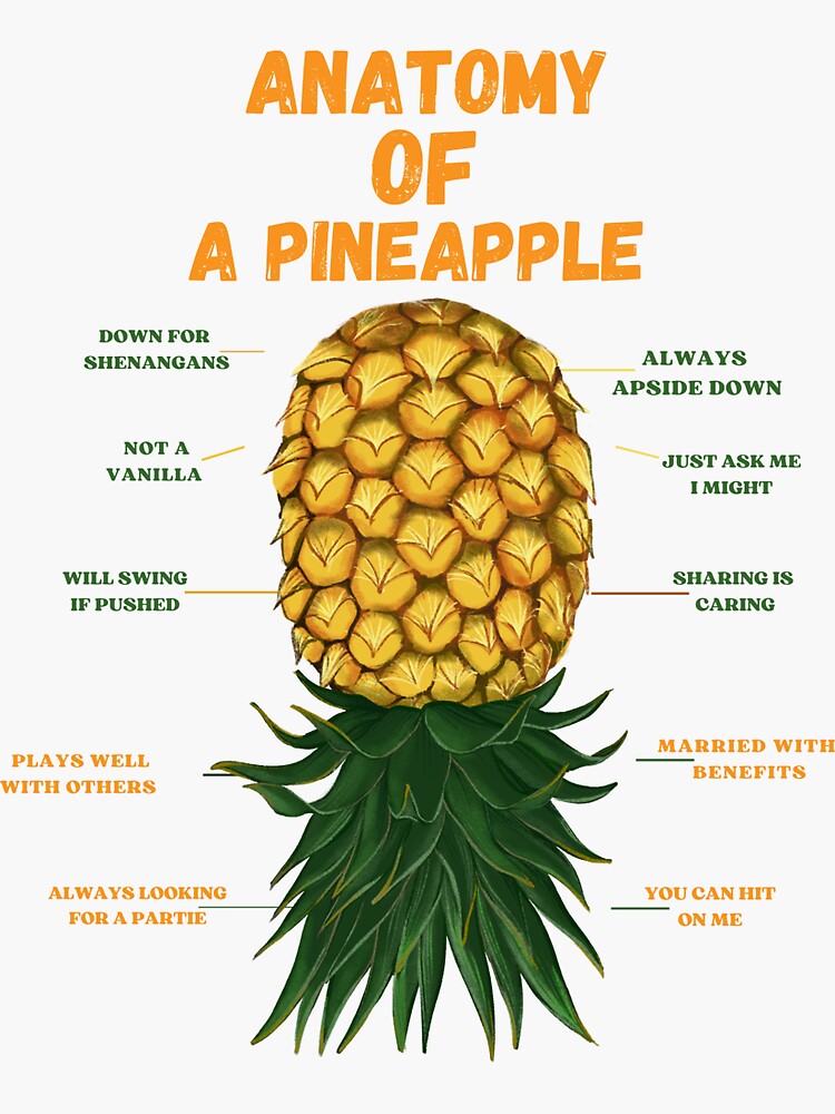"Anatomy Of A Pineapple" Sticker for Sale by Commandershop1 | Redbubble