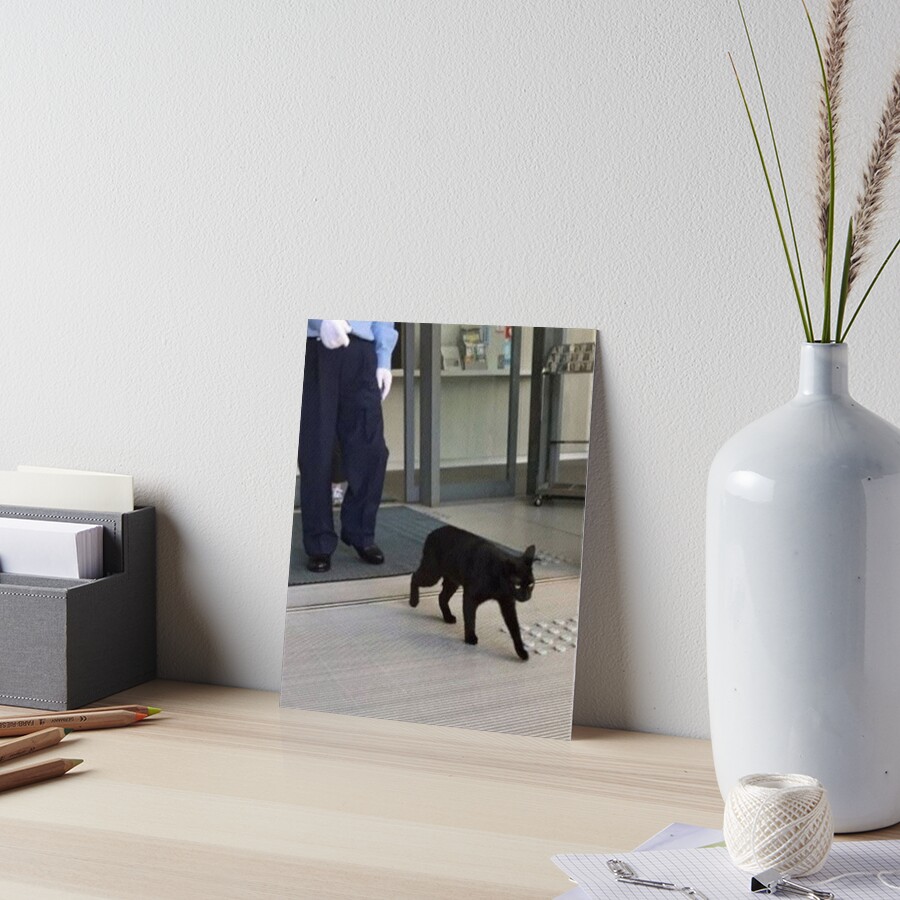 "Cat Rejected From Lobby Meme" Art Board Print by sp00kem | Redbubble