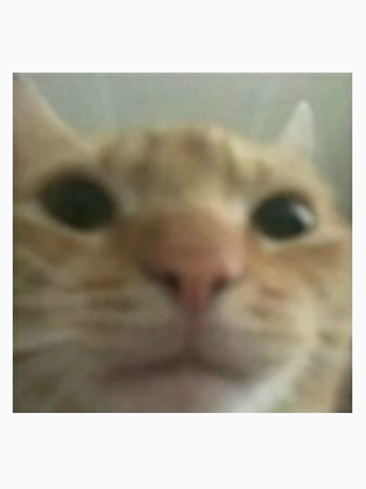 "Ugley Cat Too Close To Camera Shitpost" T-shirt for Sale by sp00kem ...