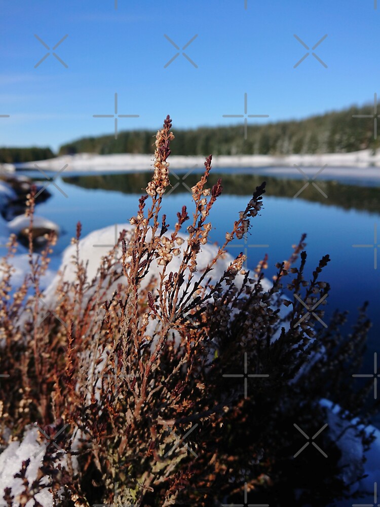 "Scottish Highlands photography : Loch Na Craig in snow" Sticker for ...