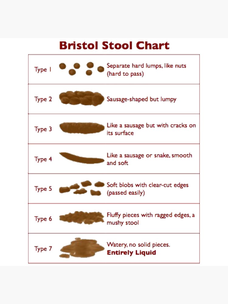 "Stool Chart" Sticker for Sale by Glenbobagins | Redbubble