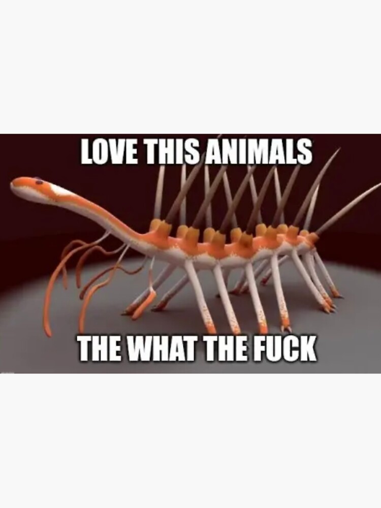 "Cambrian Animal Meme " Sticker for Sale by TZGSArt | Redbubble