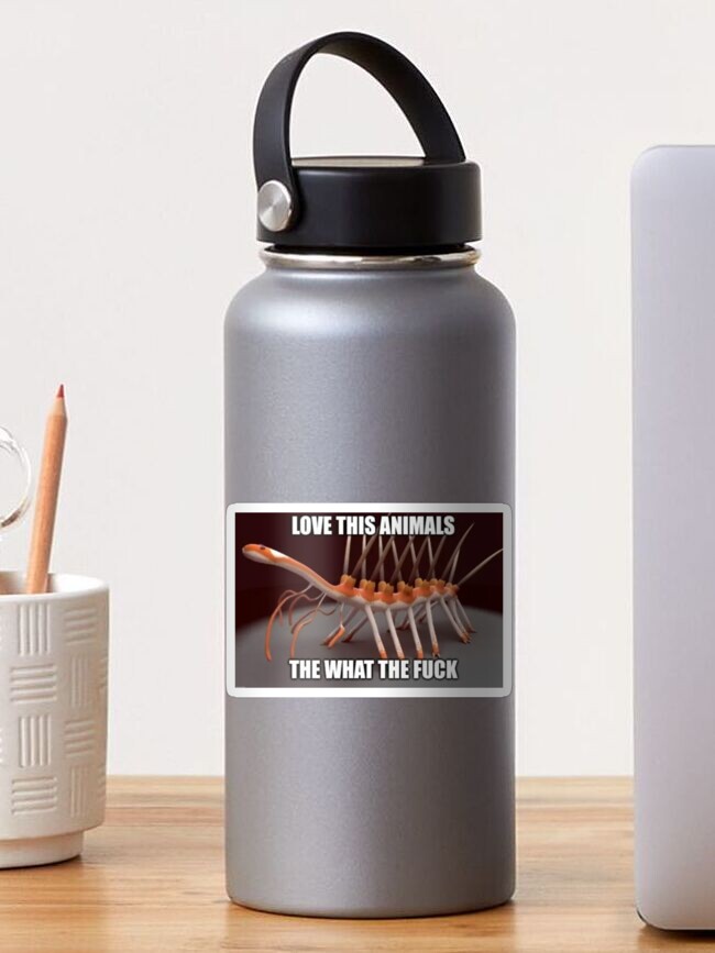 "Cambrian Animal Meme " Sticker for Sale by TZGSArt | Redbubble