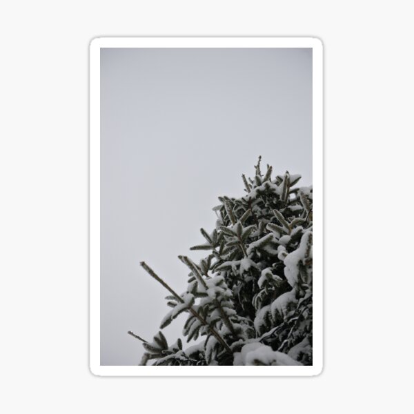 "Snow covered fir tree" Sticker for Sale by iam01110011 | Redbubble