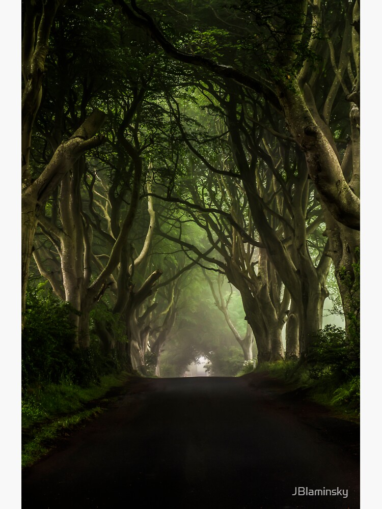 "Spring at Dark Hedges" Sticker for Sale by JBlaminsky | Redbubble