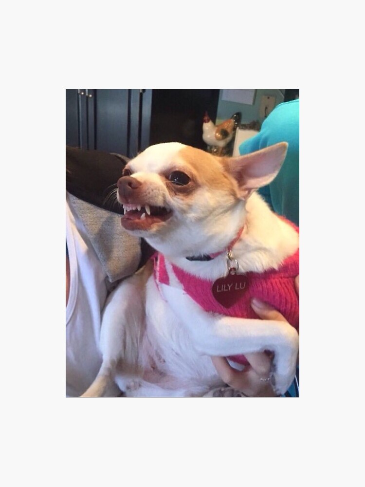 "Growling Dog Meme" Sticker for Sale by bartzlaura | Redbubble