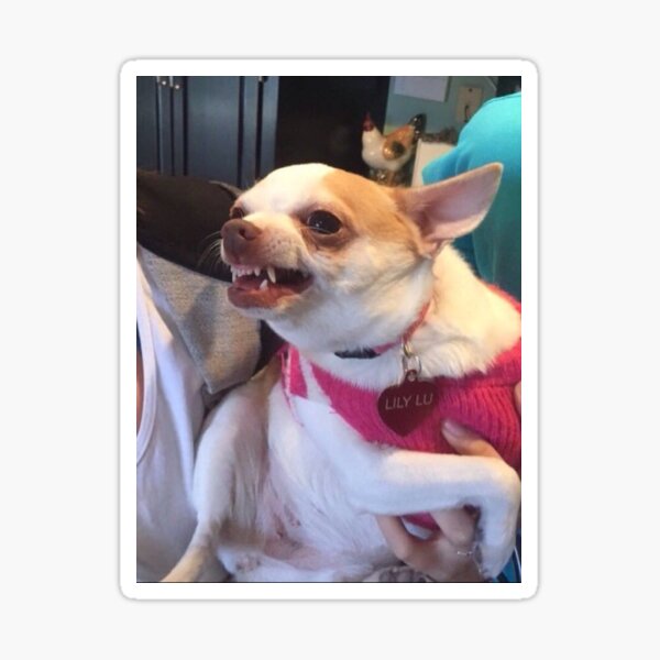 "Growling Dog Meme" Sticker for Sale by bartzlaura | Redbubble