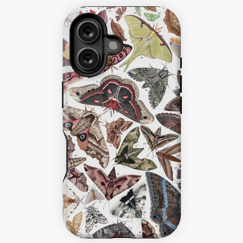 "Moths of North America" Poster for Sale by JadaFitch | Redbubble