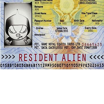 "Spacehog Resident Alien" Pullover Hoodie for Sale by AddisonSmootsC ...