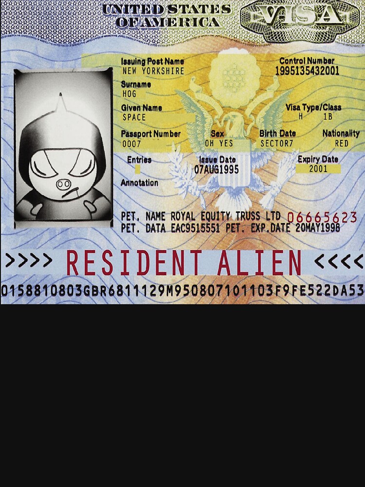 "Spacehog Resident Alien" Pullover Hoodie for Sale by AddisonSmootsC ...