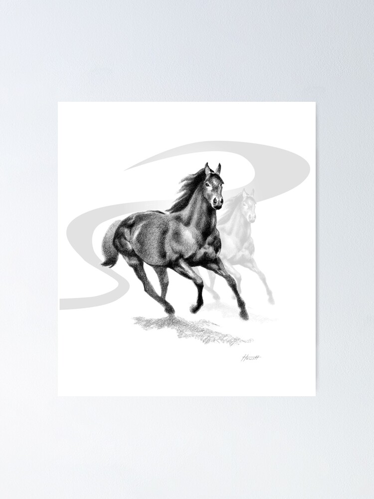 "Master Hand (USA) Thoroughbred Stallion" Poster by junglequeen | Redbubble