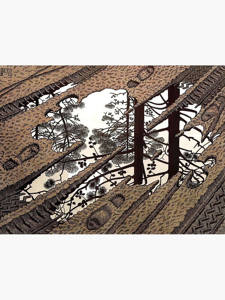 "Escher - Puddle" Poster for Sale by funnypixels | Redbubble