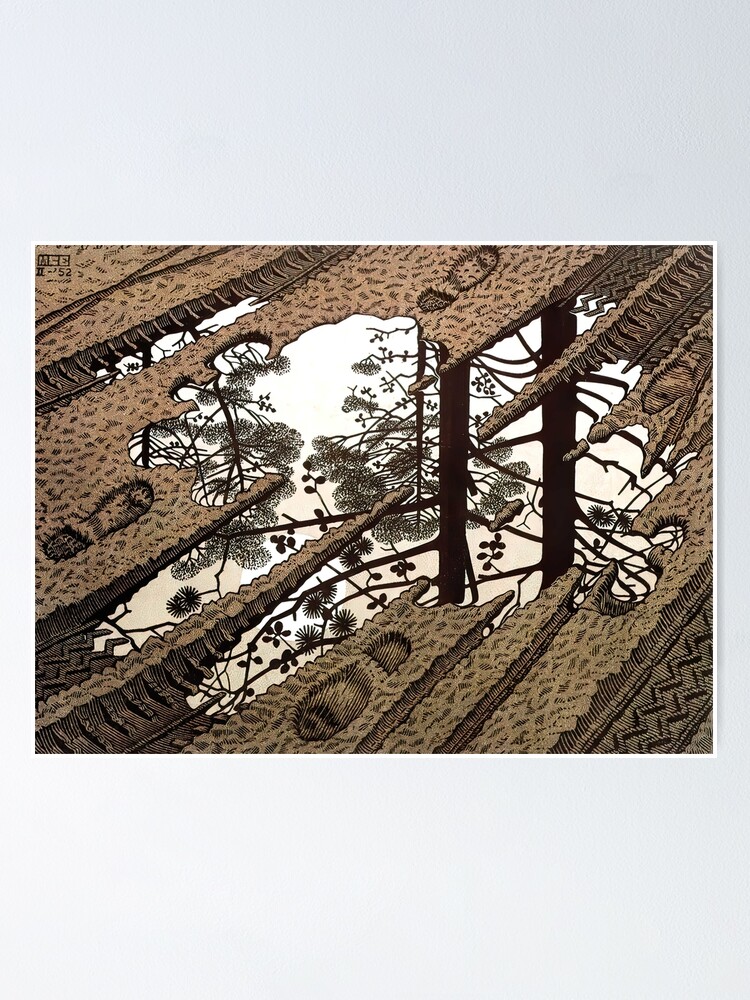 "Escher - Puddle" Poster for Sale by funnypixels | Redbubble