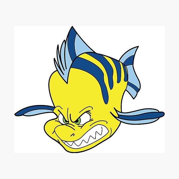"Angry Flounder" Photographic Print for Sale by mmatt007 | Redbubble