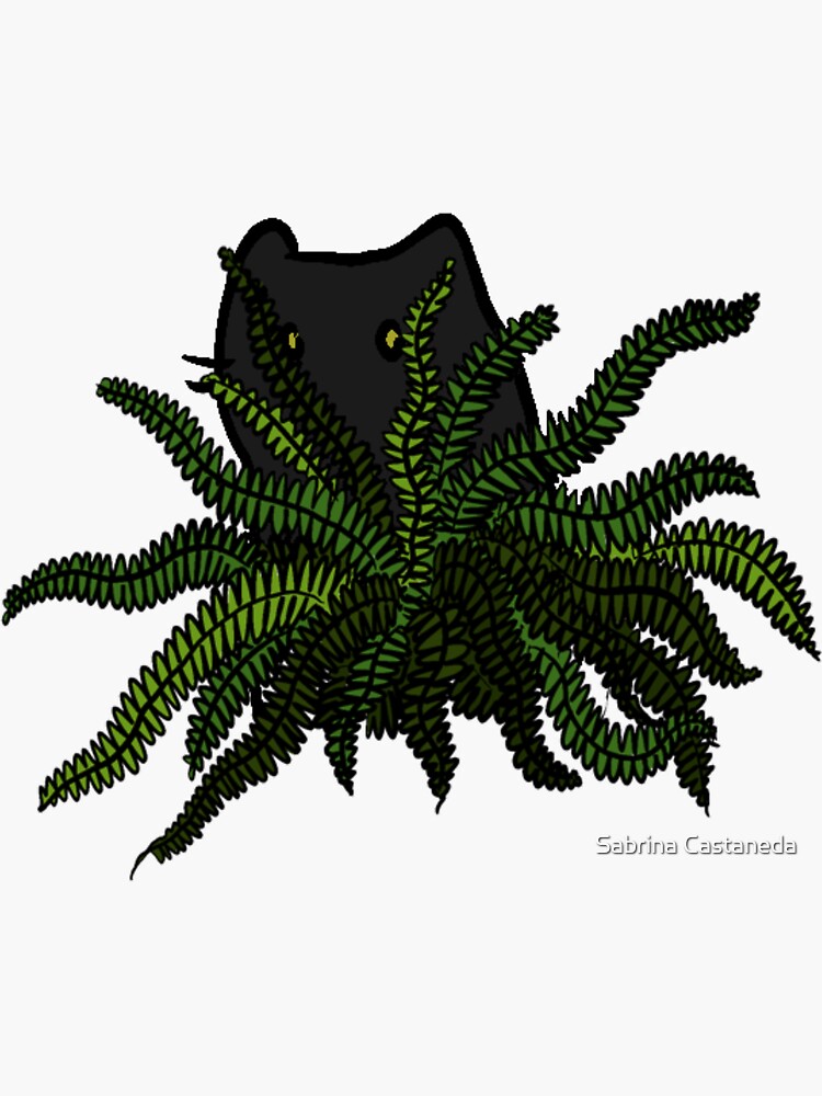 "Boston Fern Black Cat" Sticker for Sale by Sabrina Castaneda | Redbubble