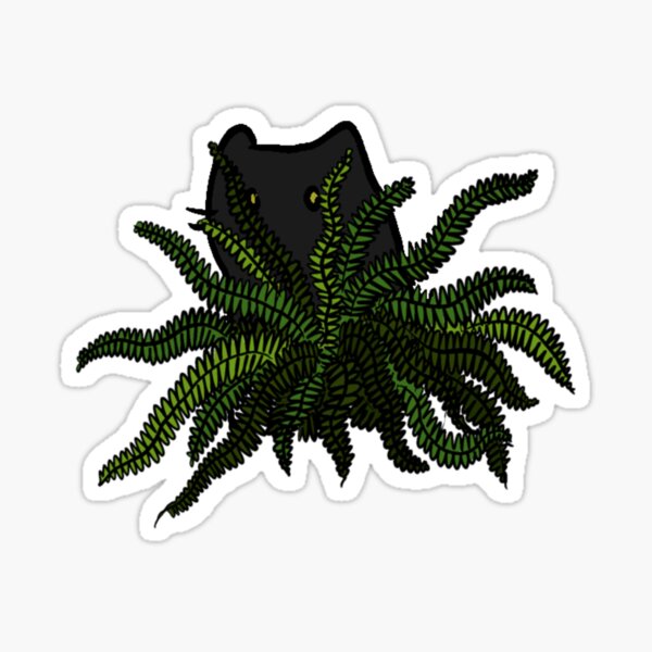 "Boston Fern Black Cat" Sticker for Sale by Sabrina Castaneda | Redbubble
