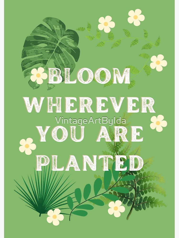 "Bloom Wherever you are Planted" Sticker for Sale by VintageArtByIda ...