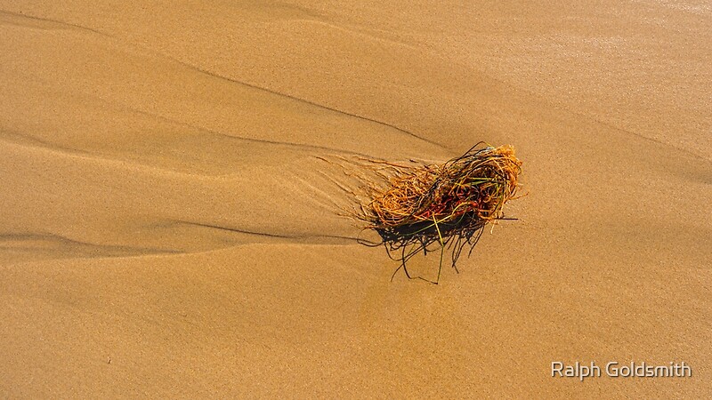 "Weed Monster" by Ralph Goldsmith | Redbubble