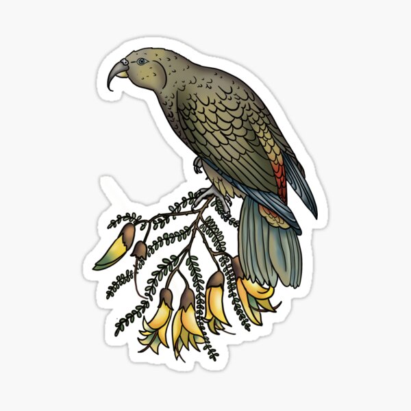 "Kea in the Kowhai" Sticker for Sale by Ohlittlespark | Redbubble
