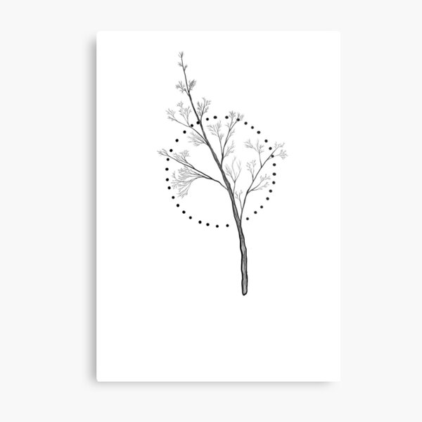 Asymmetrical Balance In Nature