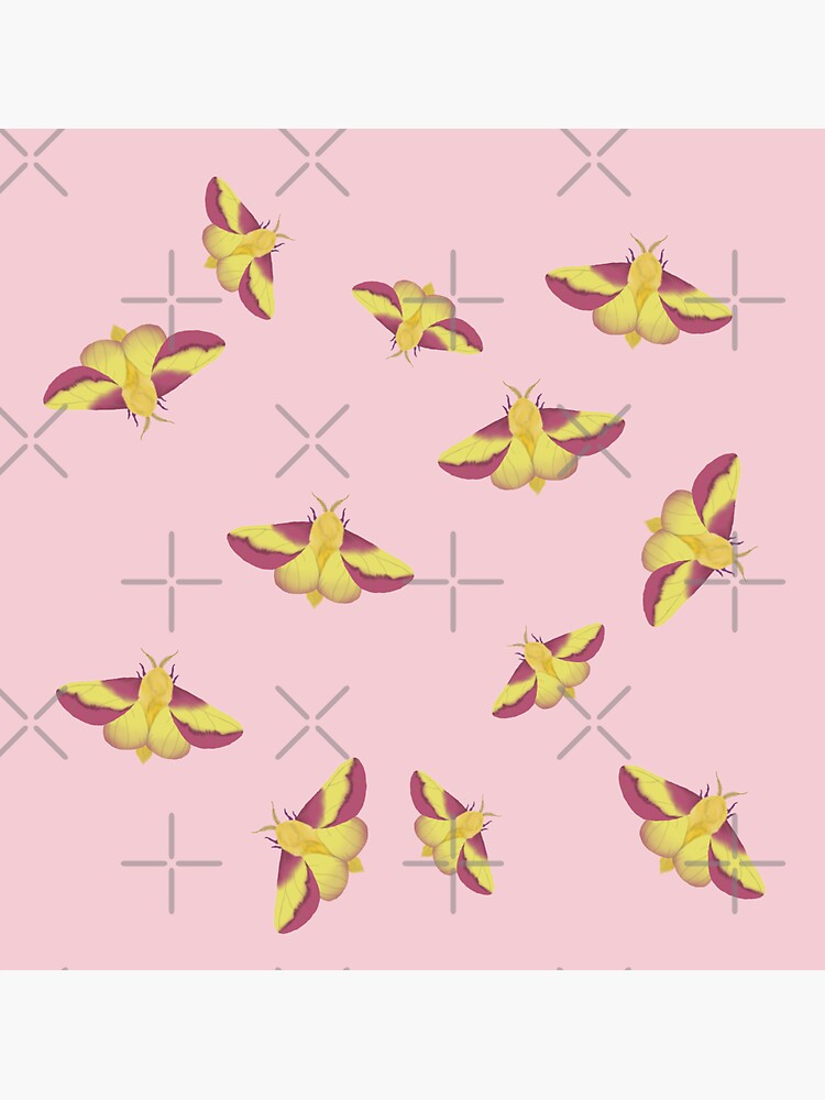 "Rosy Maple Moths Pink" Sticker for Sale by TrapperWeasel | Redbubble