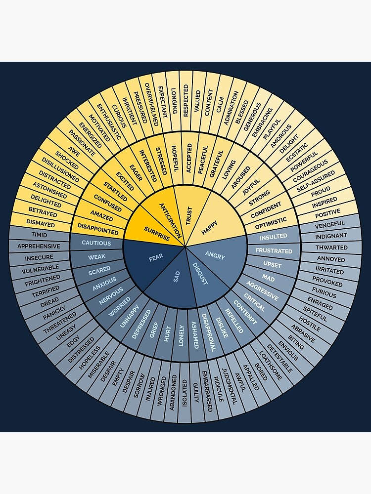 Poster « Roue des émotions Roue des sentiments Comprendre les émotions ...