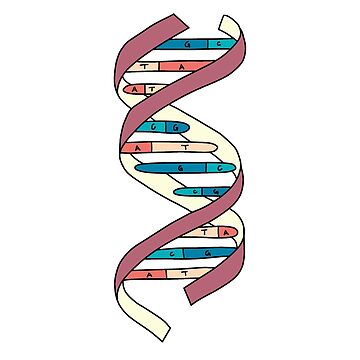 "DNA Strand" Sticker for Sale by Katherine Winner | Redbubble